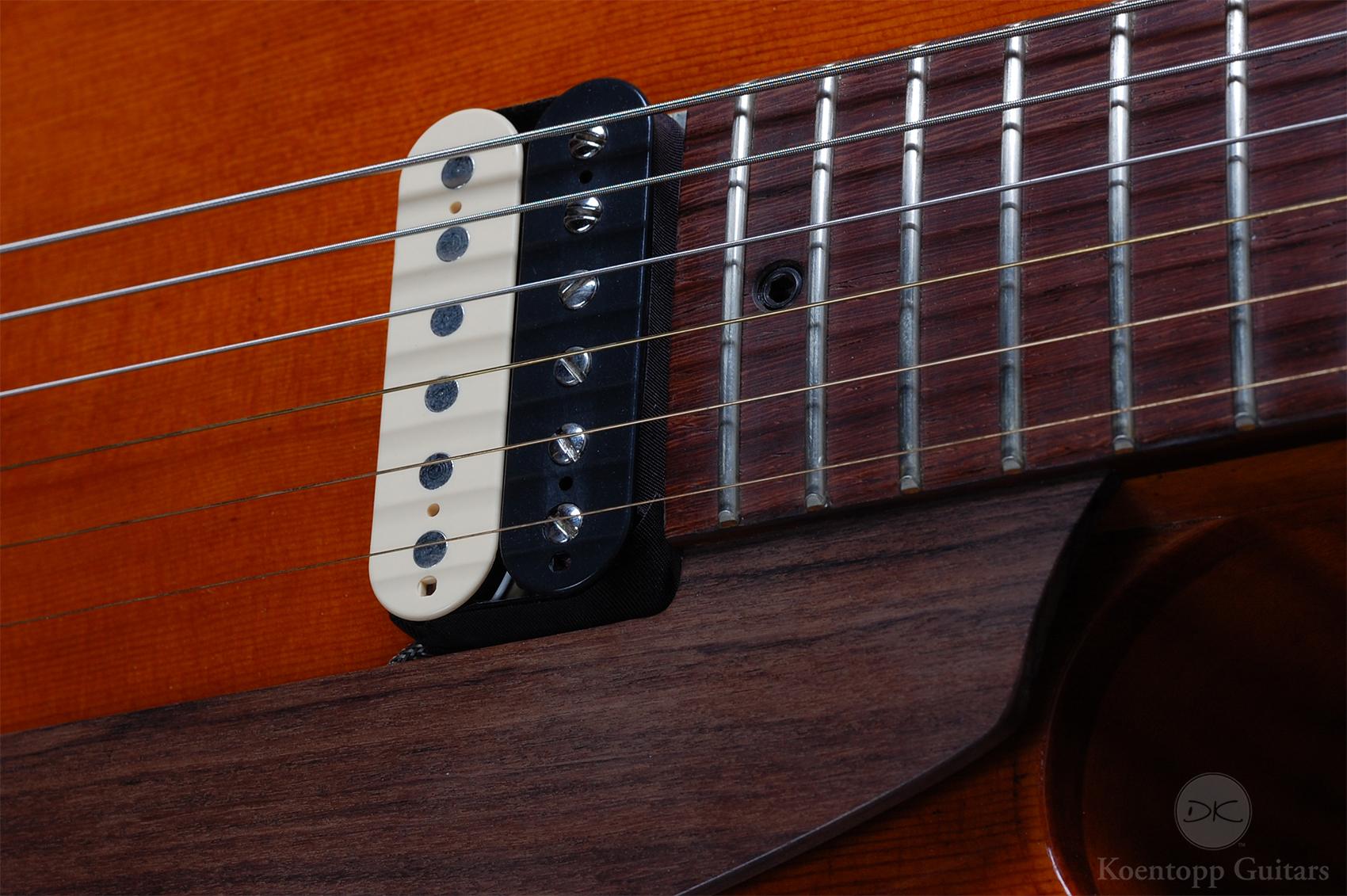 The 2019 “Prototype” BlueLine - Koentopp Guitars