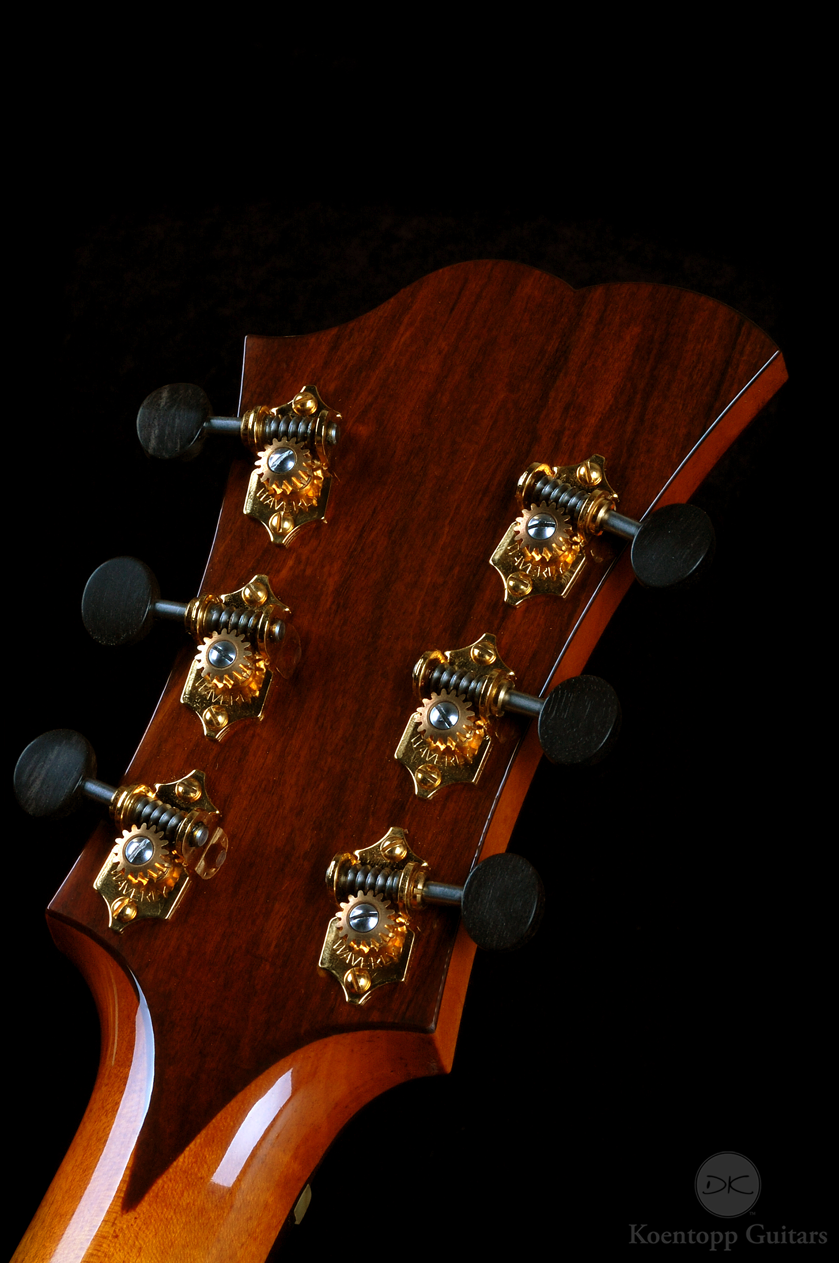 The 2019 “Prototype” BlueLine - Koentopp Guitars